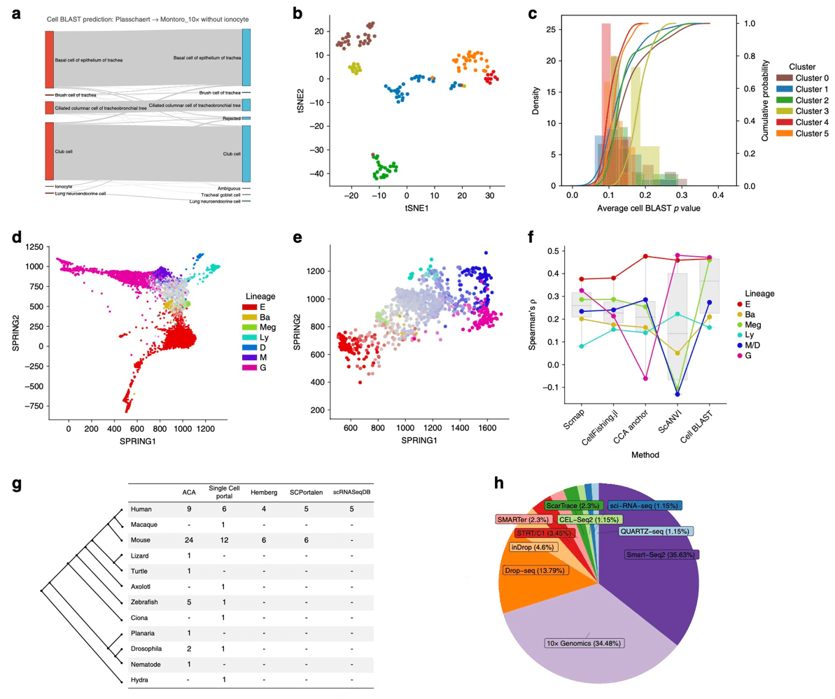 Cell BLAST：大规模scRNA-seq数据库检索工具和在线平台 – Gao Lab