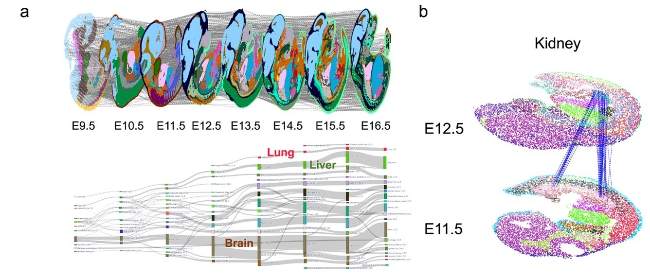An accurate computational method for cross-platform, multi-modal spatial omics alignment and ...