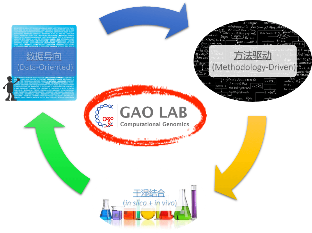 研究方向 – Gao Lab