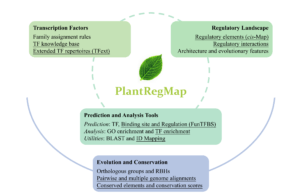 PlantRegMap：植物转录调控网络数据平台 – Gao Lab