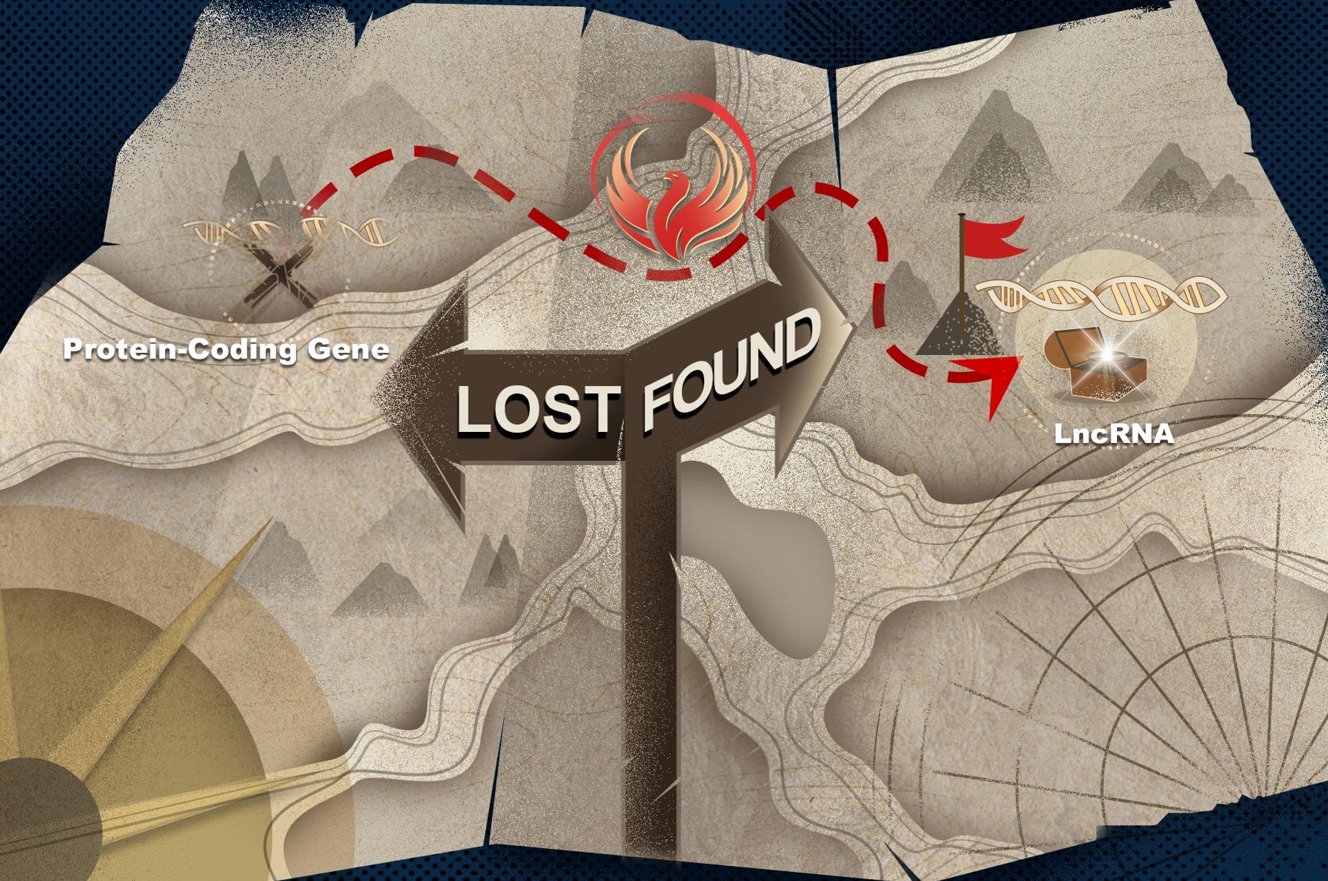 Mol. Biol. Evol. | Genome-wide identification of gene loss events ...
